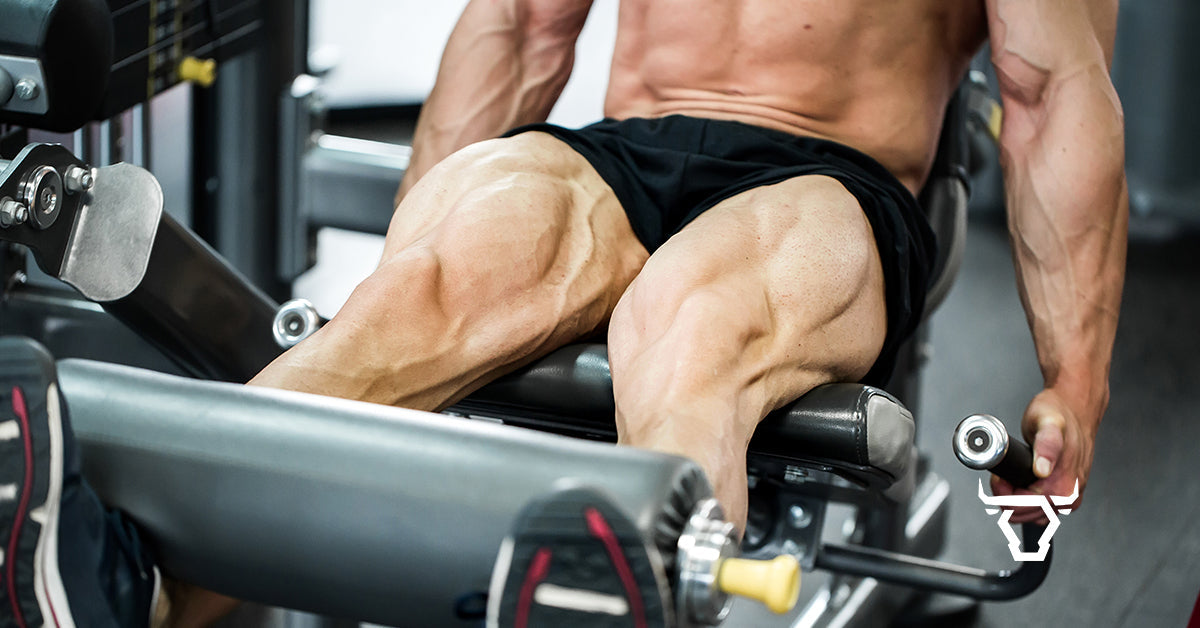Dominate Leg Day: Quad Workouts That Deliver Maximum Growth